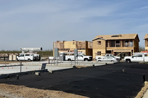 Expert Plumas Lake Pest Control - Rodent Wrangler